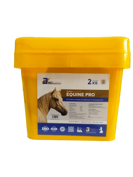 Equine PRO: Muscle & Performance Boost for Horses & Camels